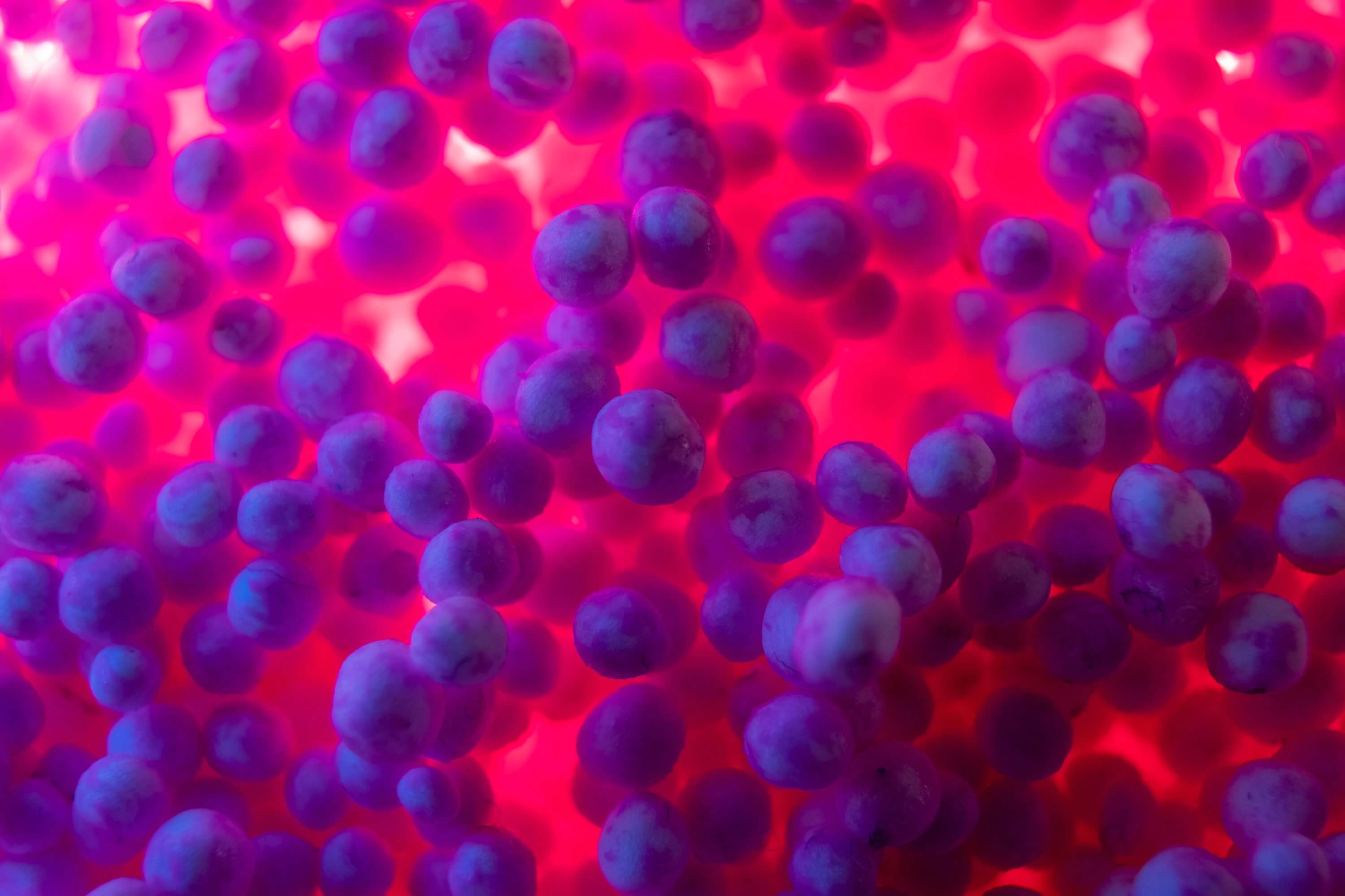 TRÁVICÍ ENZYMY - Woldoshop s.r.o.