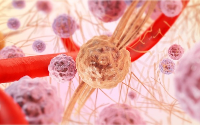 POJIVOVÉ TKÁNĚ - Woldoshop s.r.o.